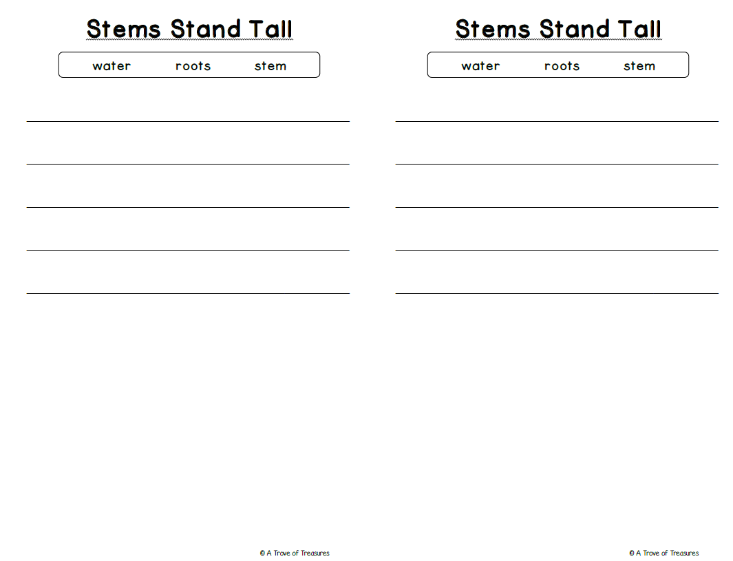 A Plant's Parts Booklet **With Activity Differentiation** - Amped Up ...