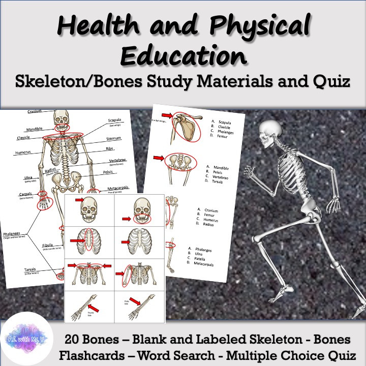 Skeleton & Bones Flashcards, Study Materials and Quiz - Health, Phys Ed ...
