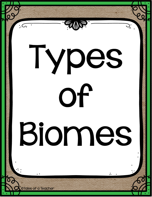 Types of Biomes Posters {Word Wall} - Amped Up Learning