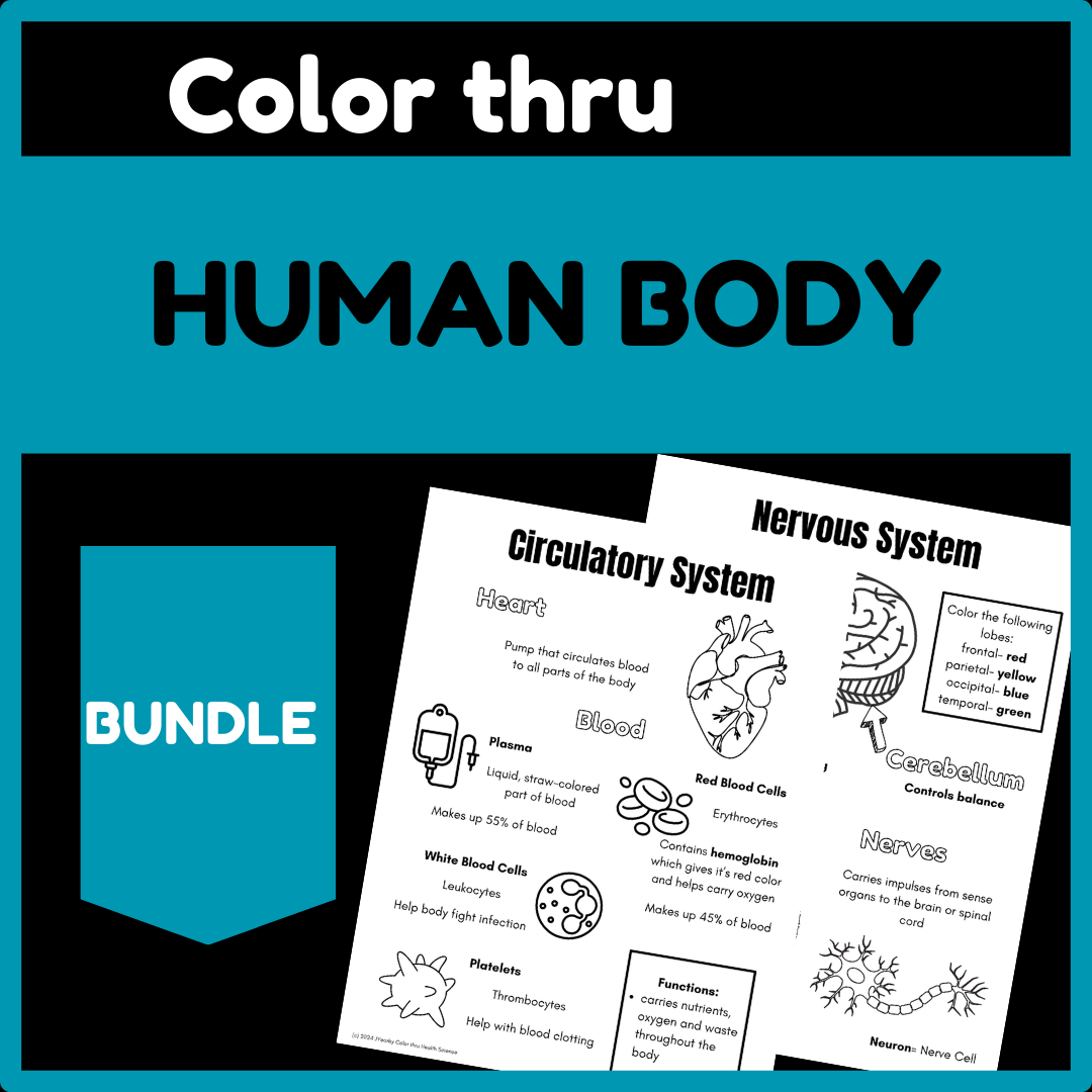 Color thru Human Body - Amped Up Learning