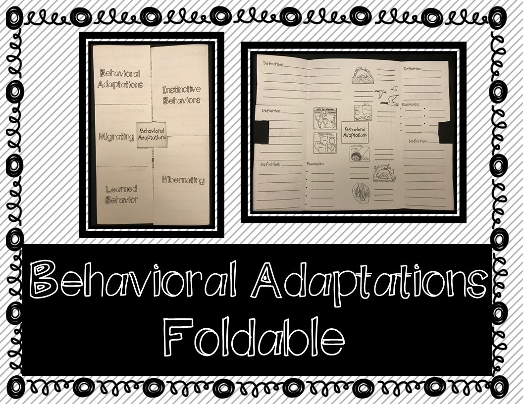 Behavioral Adaptations in Animals Interactive Notebook / Foldable ...