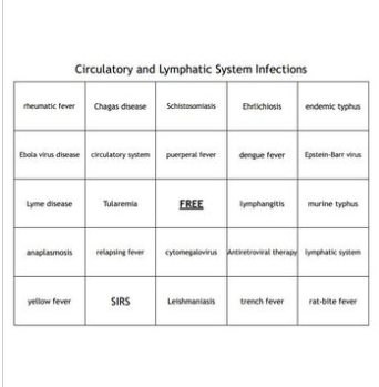 "Circulatory, Lymphatic System Infections" Bingo set for a Microbiology ...