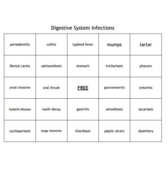 "Digestive System Infections" Bingo set for a Microbiology Course ...