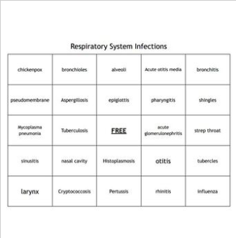 "Respiratory System Infections" Bingo set for a Microbiology Course ...