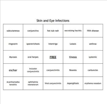 "Skin and Eye Infections" Bingo set for a Microbiology Course - Amped ...