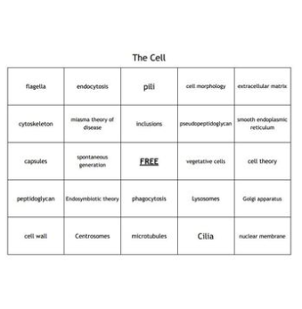 "The Cell" Bingo set for a Microbiology Course - Amped Up Learning