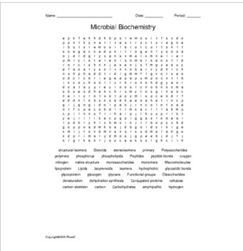 Microbial Biochemistry Word Search for a Microbiology Course - Amped Up ...