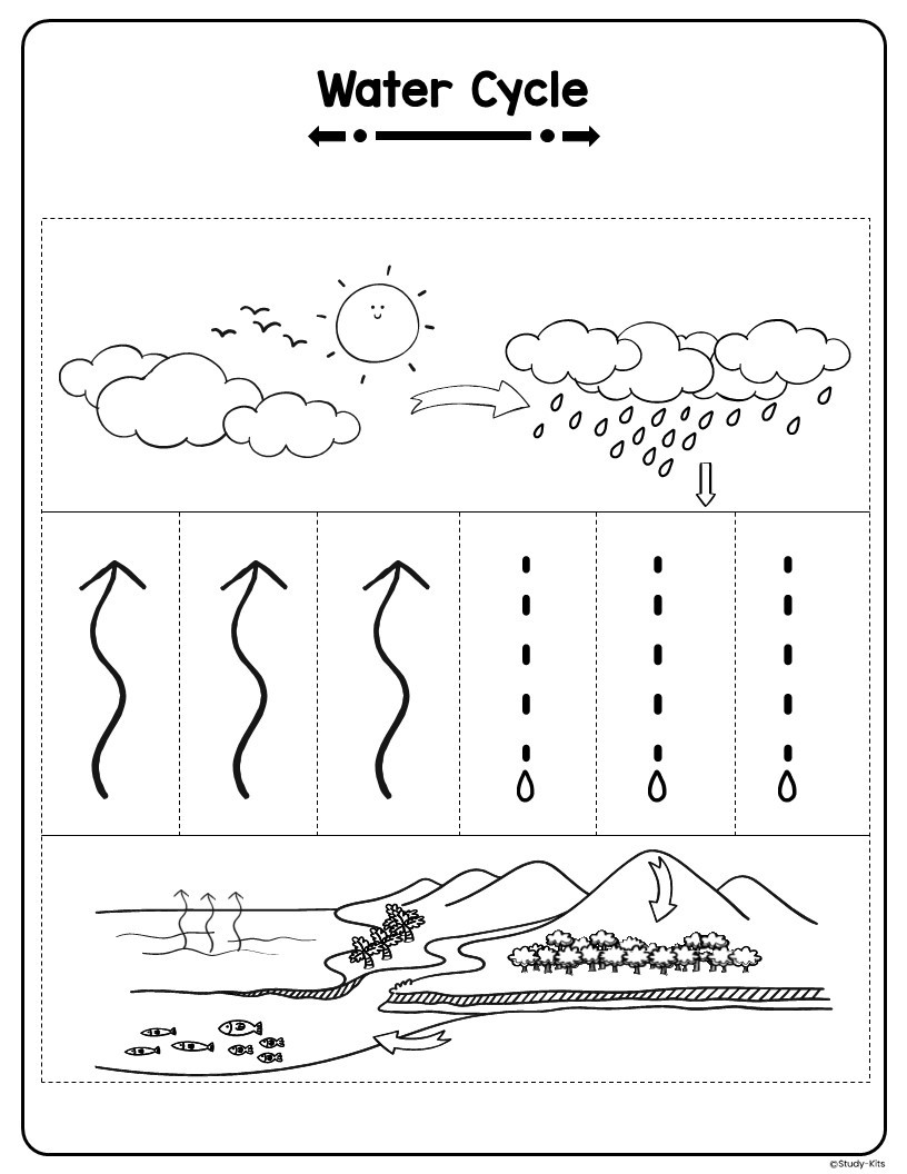 The Water Cycle Craft Vocabulary - Earth Sciences Worksheet