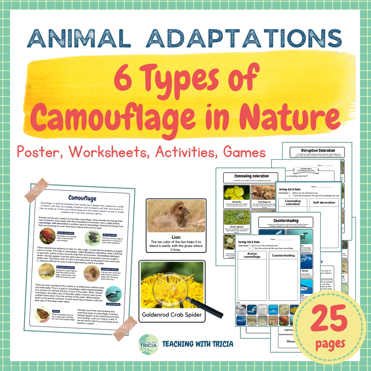 Animal Adaptations-6 Types of Camouflage in Nature: Info, Activities ...