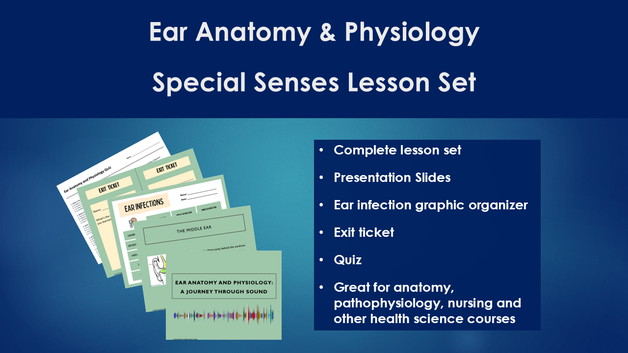 Ear Anatomy & Physiology: Special Senses Lesson Set - Amped Up Learning