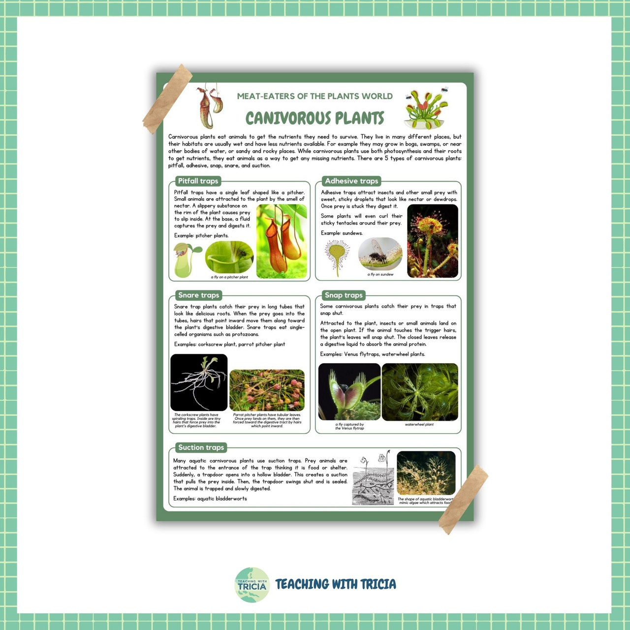 Carnivorous Plants - 5 Types of Trap: Information Input, Activities ...