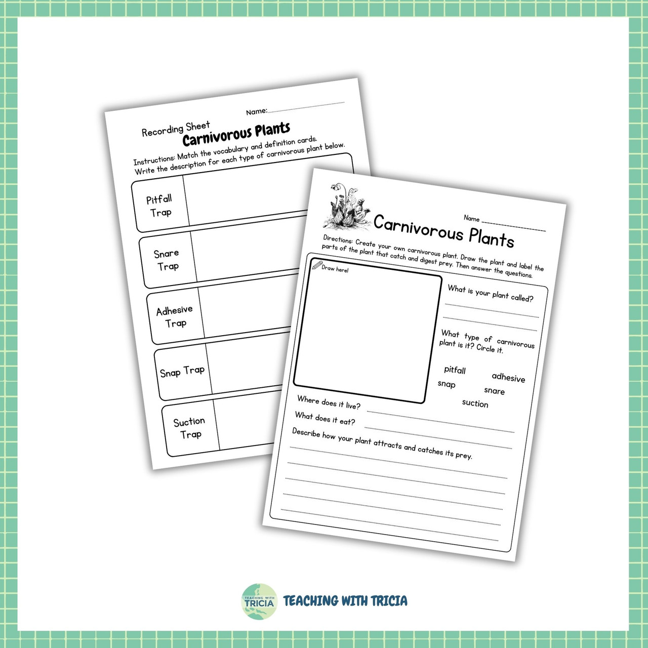 Carnivorous Plants - 5 Types of Trap: Information Input, Activities ...