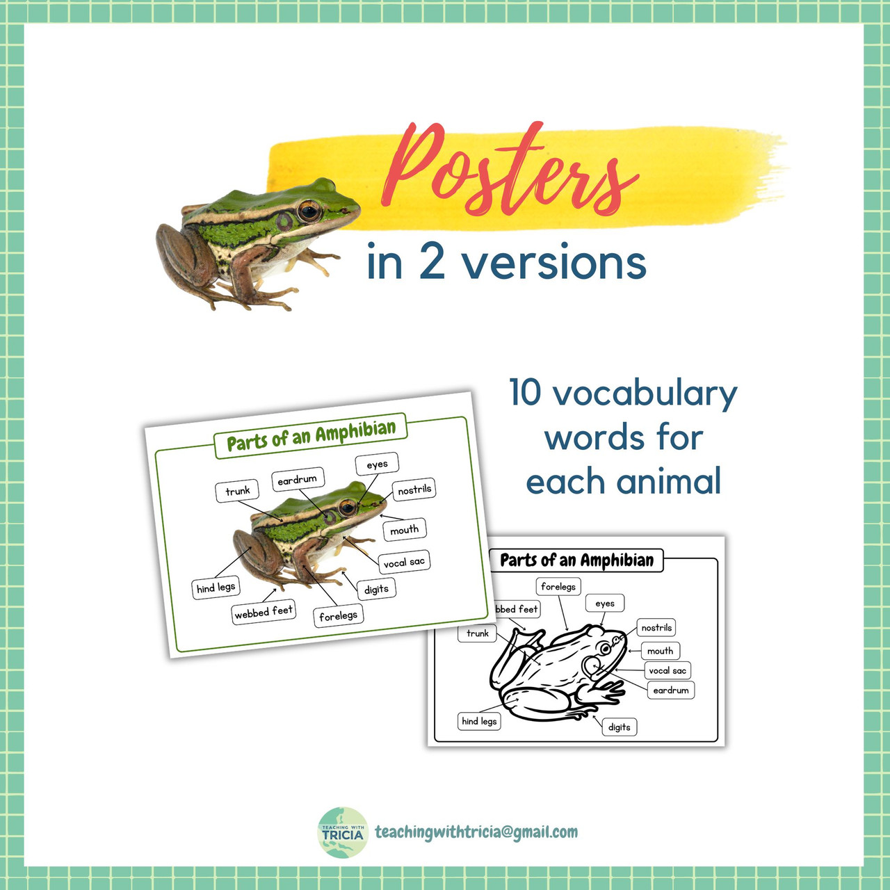 Label the Parts of Animals - Advanced: Fish, Reptile, Amphibian, Mammal ...