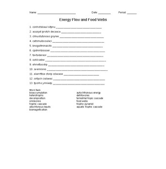 Energy Flow and Food Webs Word Scramble for an Ecology Course - Amped ...
