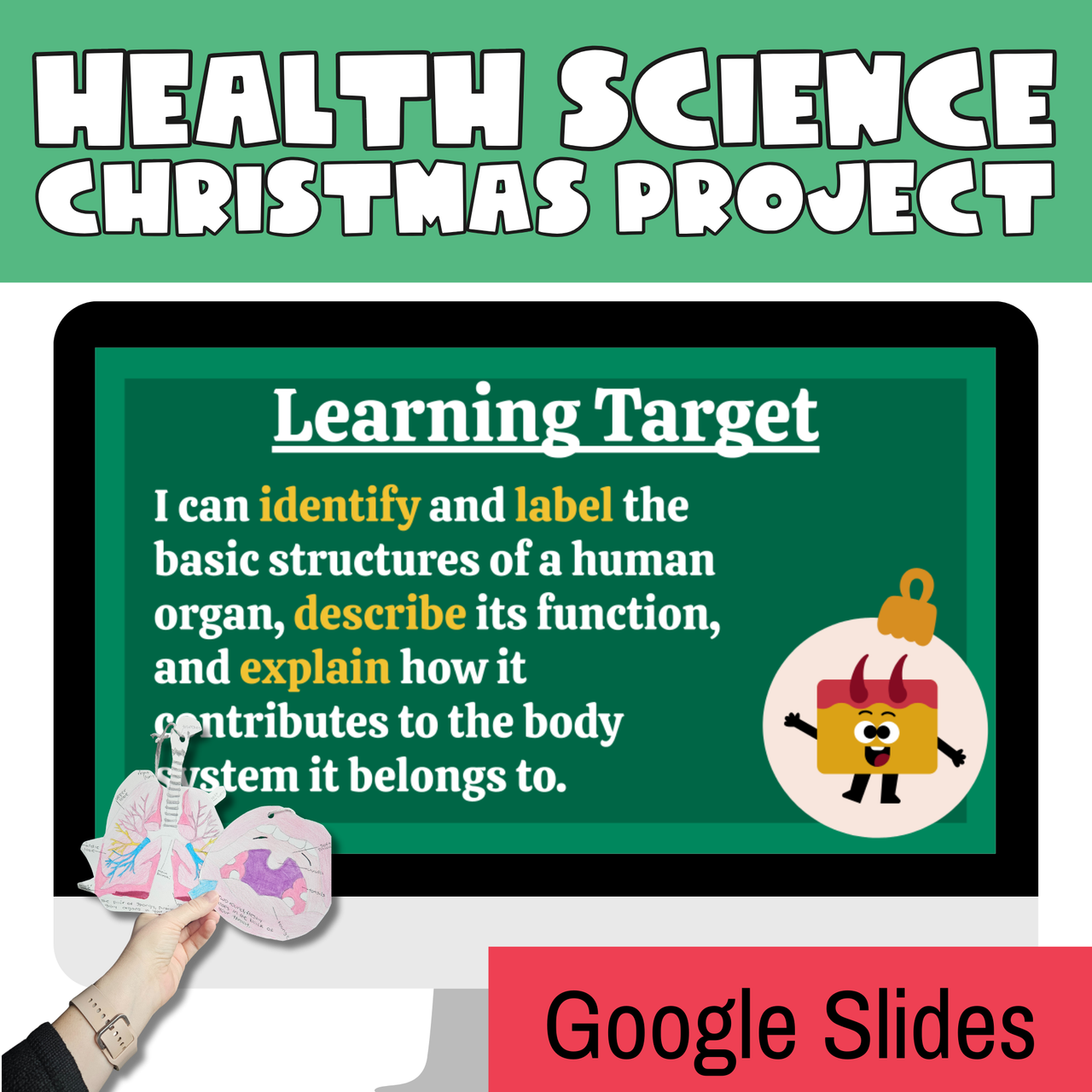 Health Science and Anatomy Christmas Activity - Organ-ments