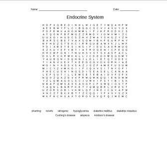 Endocrine System Word Search for Vet. Science Students - Amped Up Learning