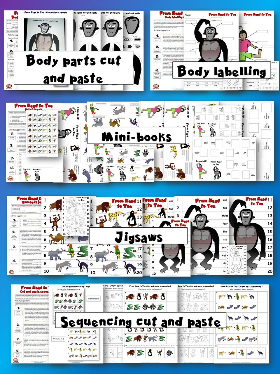 From Head to Toe - Activity Pack - Body, Animals, Actions - Amped Up ...