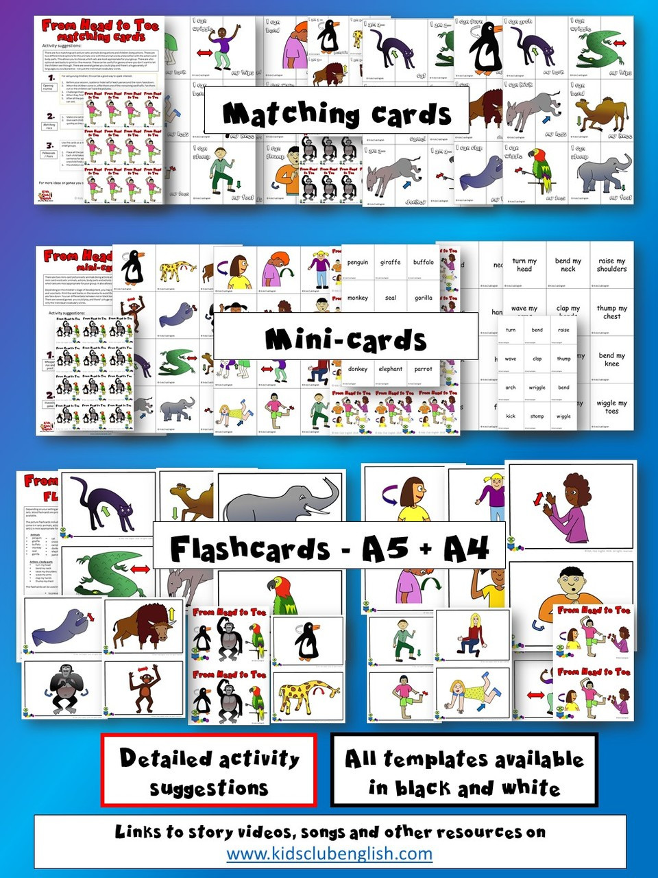 From Head to Toe - Activity Pack - Body, Animals, Actions - Amped Up ...