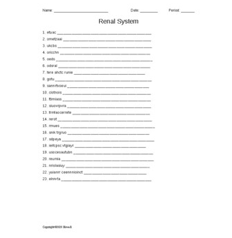 Renal System Word Scramble for Vet. Science Students - Amped Up Learning
