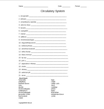 Circulatory System Word Scramble for Vet. Science Students - Amped Up ...