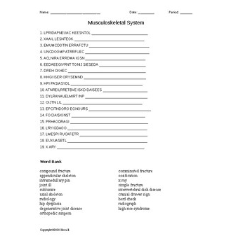 Musculoskeletal System Word Scramble for Vet. Science Students