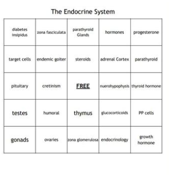 "The Endocrine System" Bingo set for an Anatomy Course - Amped Up Learning