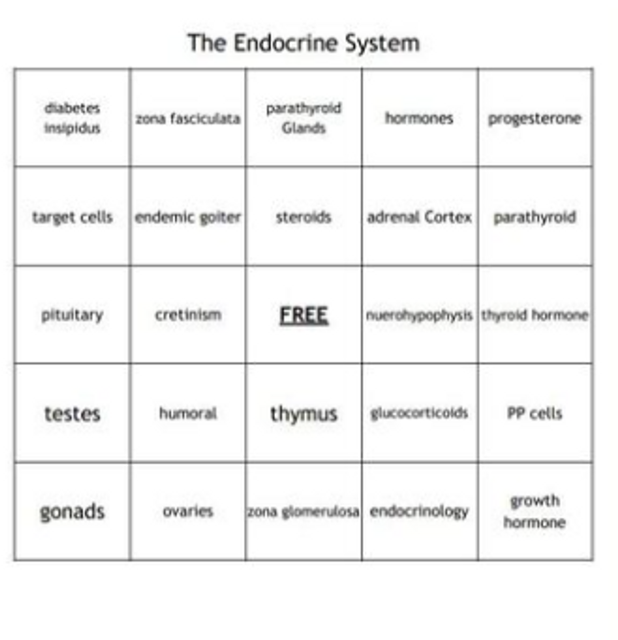 "The Endocrine System" Bingo set for an Anatomy Course - Amped Up Learning