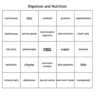 "Digestion and Nutrition" Bingo set for a Zoology Course - Amped Up ...