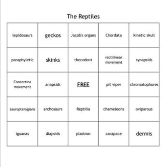"The Reptiles" Bingo set for a Zoology Course - Amped Up Learning