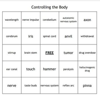 "Controlling the Body" Bingo Set for a Middle School Science Course ...