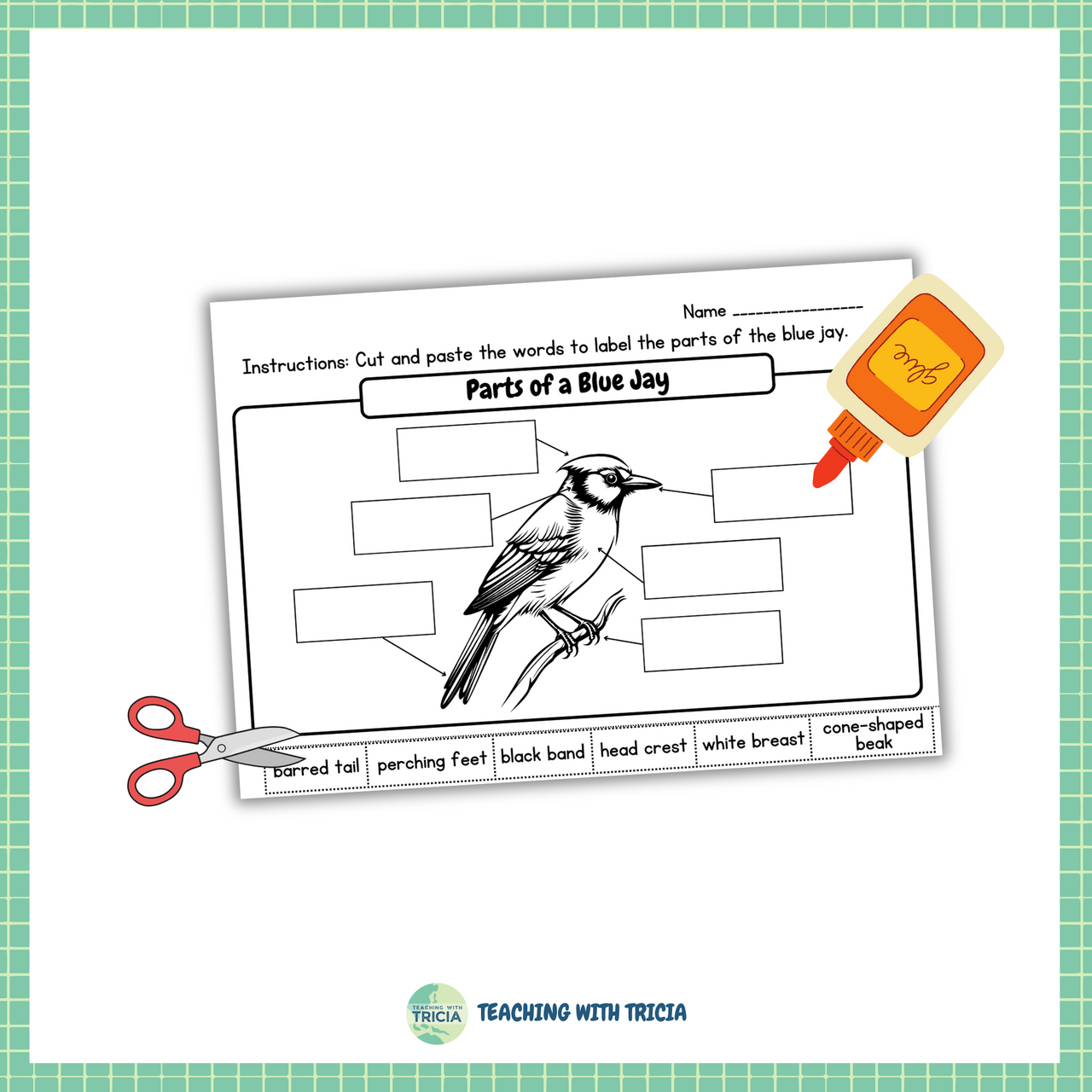 Bird Anatomy - Blue Jay: Body Parts, Posters & Worksheet - Amped Up ...