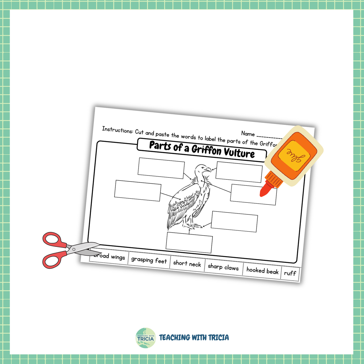 Bird Anatomy - Griffon Vulture: Body Parts, Posters & Worksheet - Amped ...