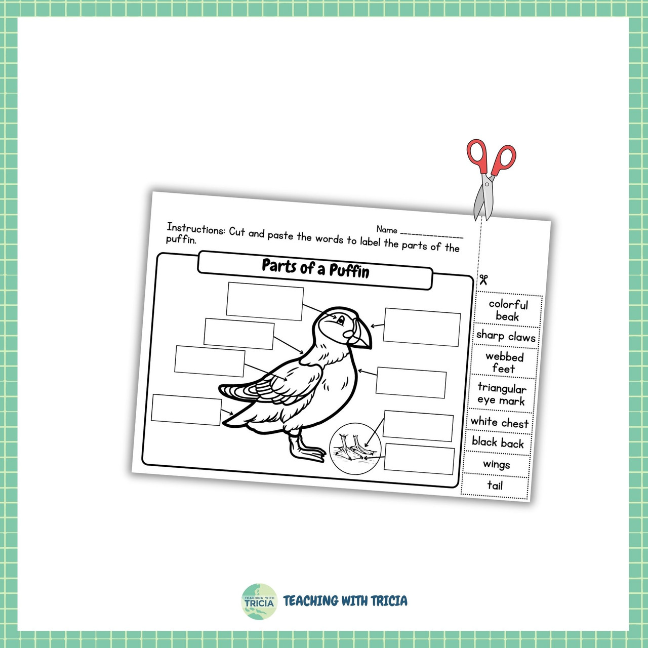 Tundra Biome - Label the Parts of Puffin: Posters & Worksheets, Bird ...