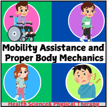 CTE Health Science Patient Safety Through Mobility Assistance & Body ...