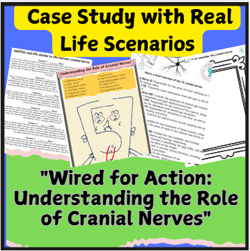 Cranial Nerve Printable Case Study / Anatomy / Nursing / Health Science