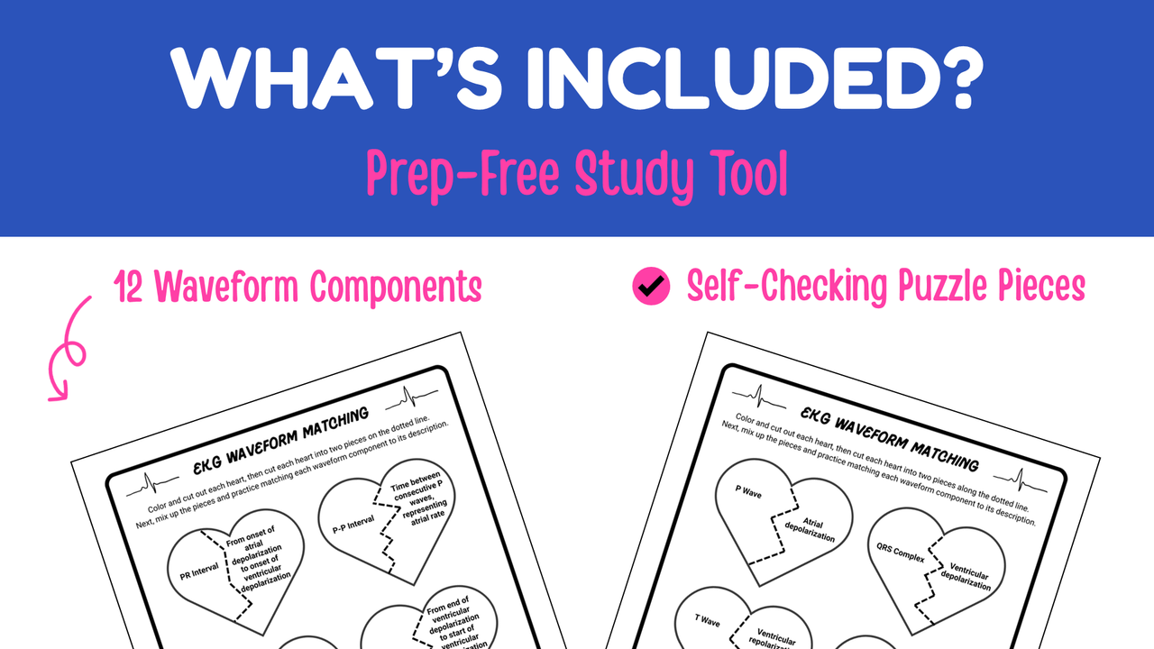EKG Waveform Matching Puzzle – Hands-On Exam Prep Health Science Activity