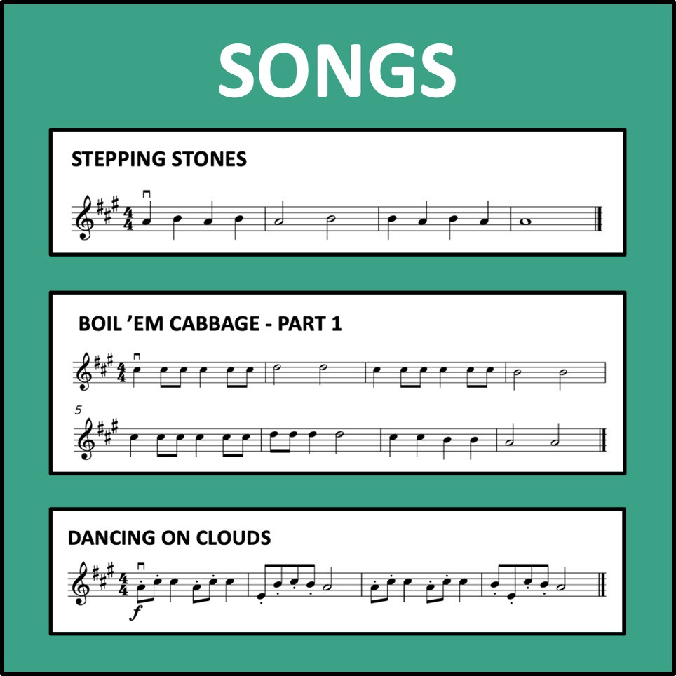 Beginner Violin
