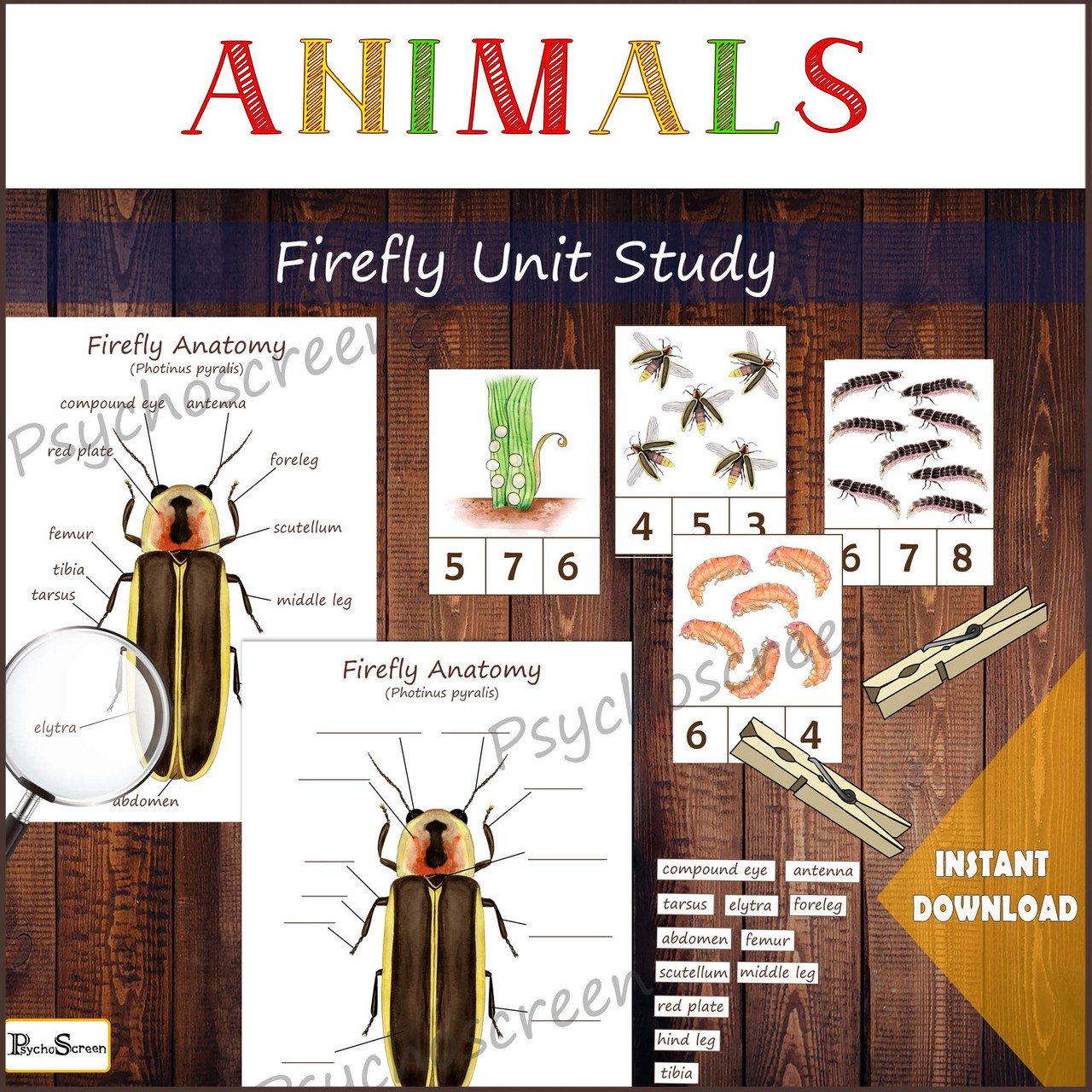 FIREFLY Unit Study: MEGA Printable fireflies set, Lighting bugs, insects