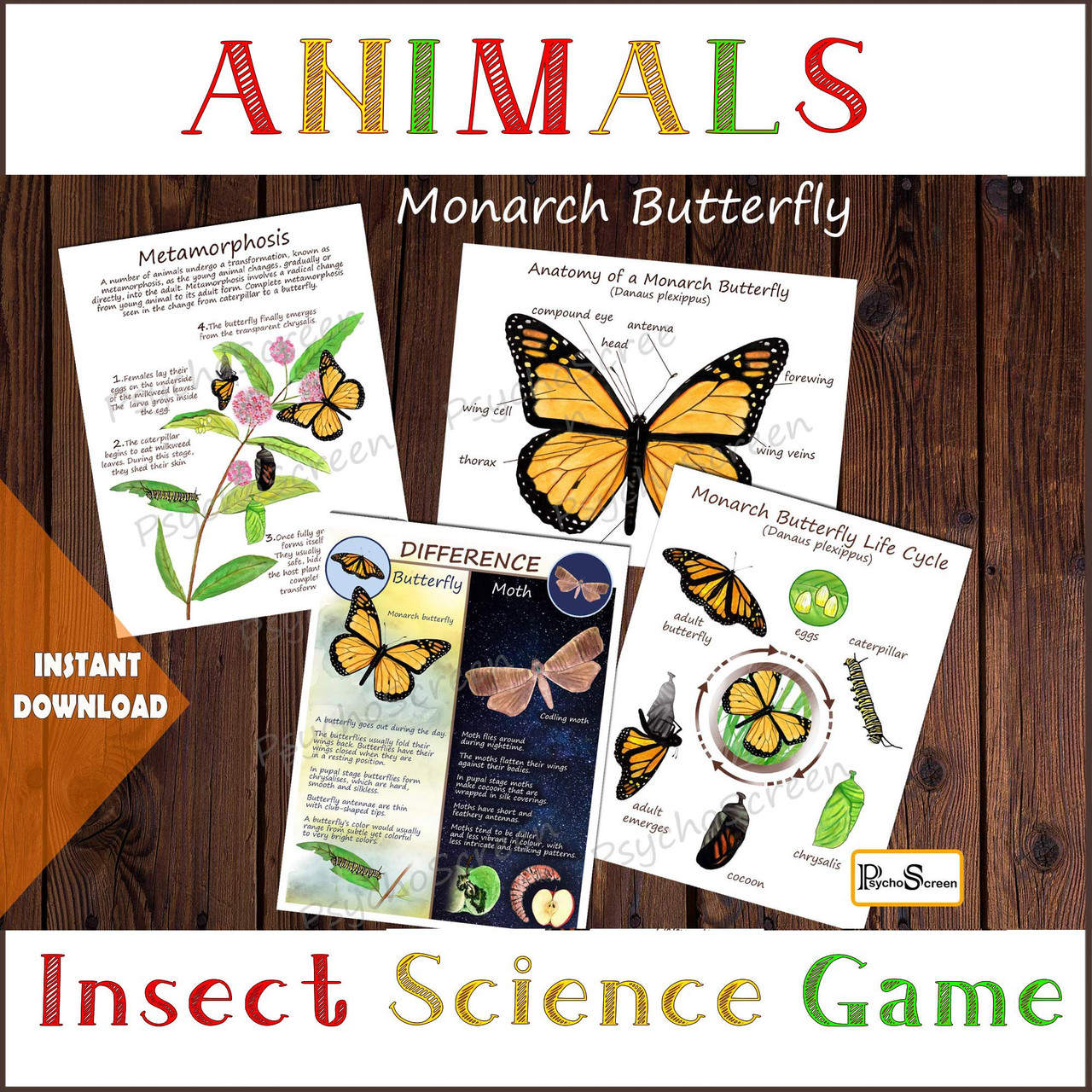 MONARCH BUTTERFLY Unit Study, MEGA Printable butterfly - anatomy, life ...