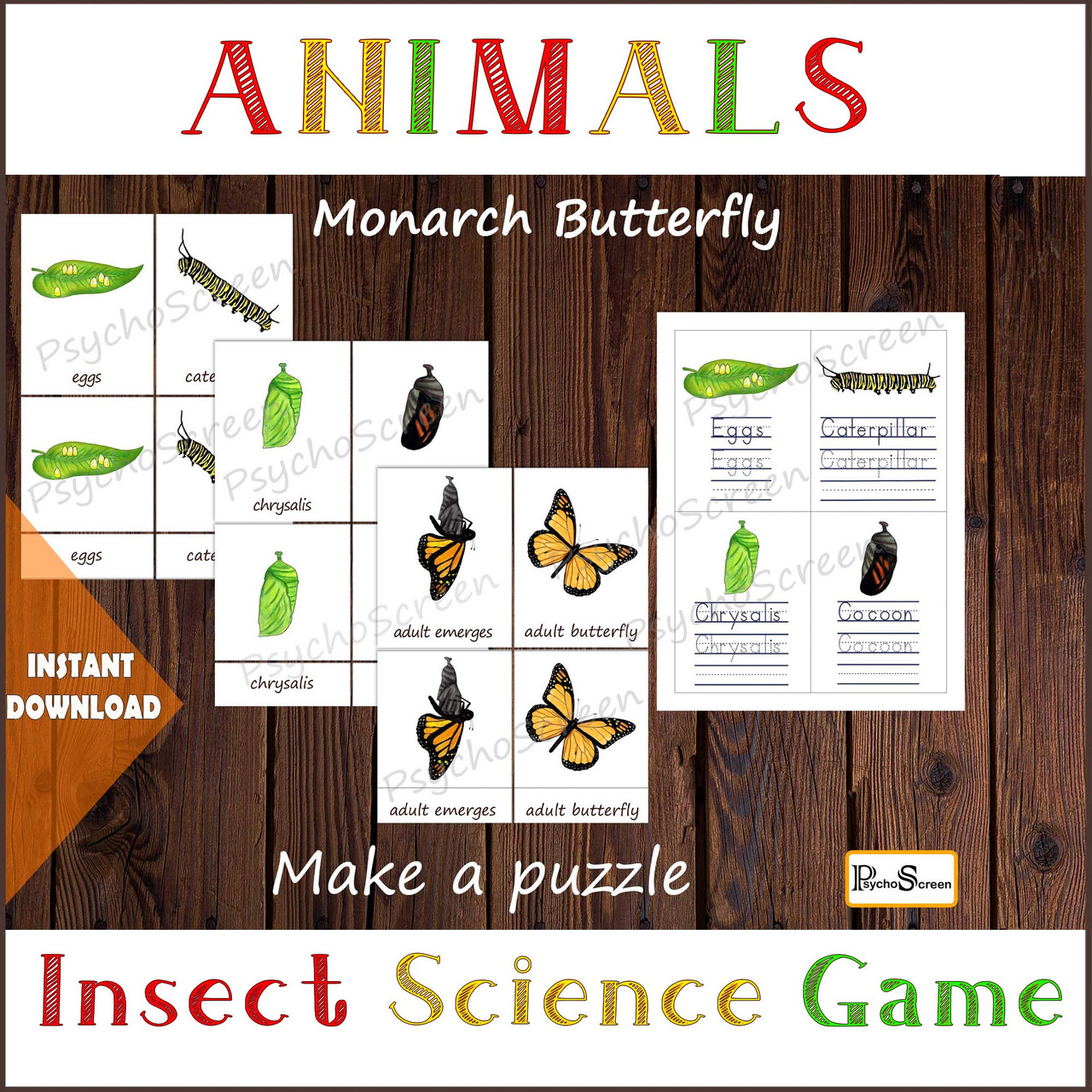 MONARCH BUTTERFLY Unit Study, MEGA Printable butterfly - anatomy, life ...