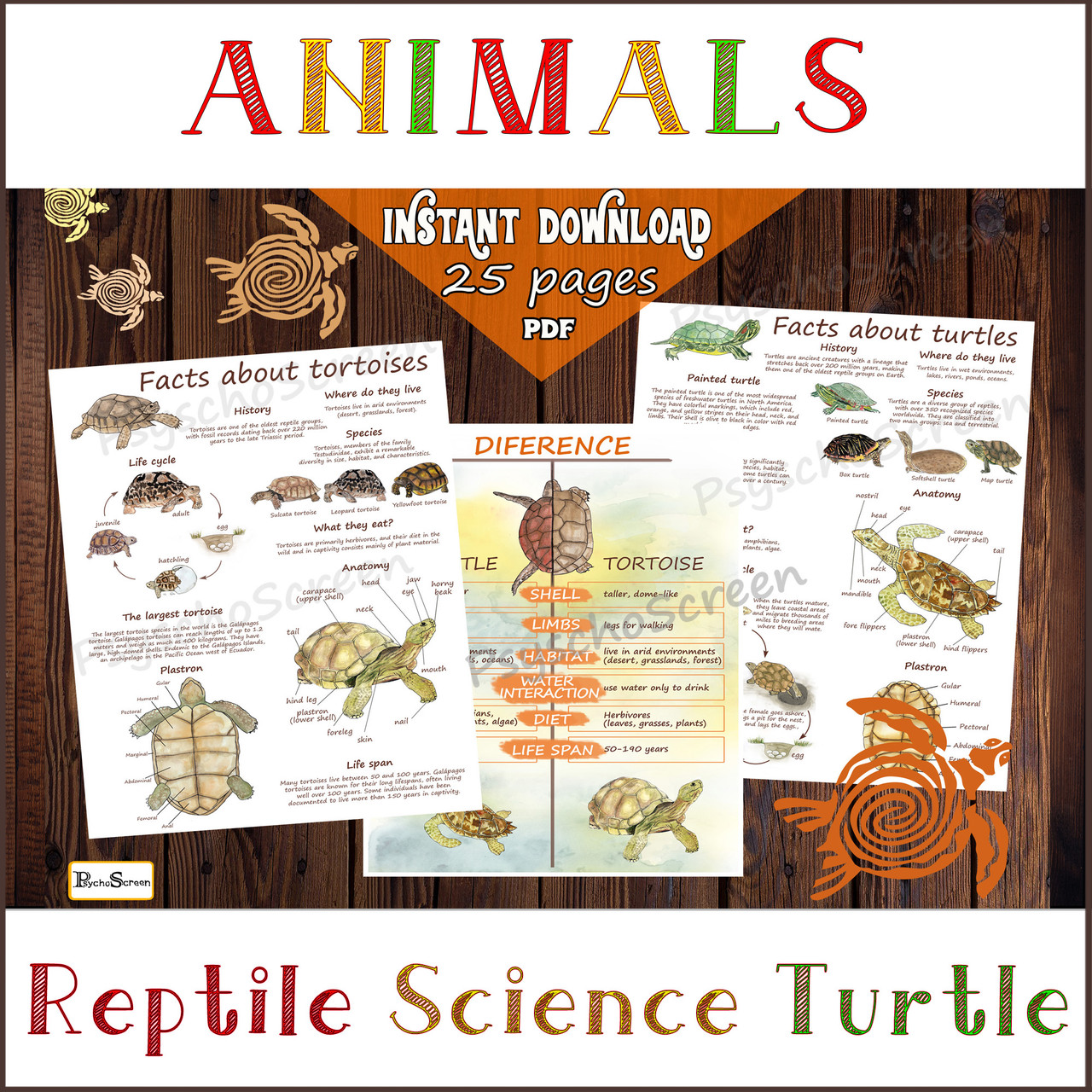 TURTLE and TORTOISE Unit study: Anatomy, Life cycle, Species, Facts, Puzzle