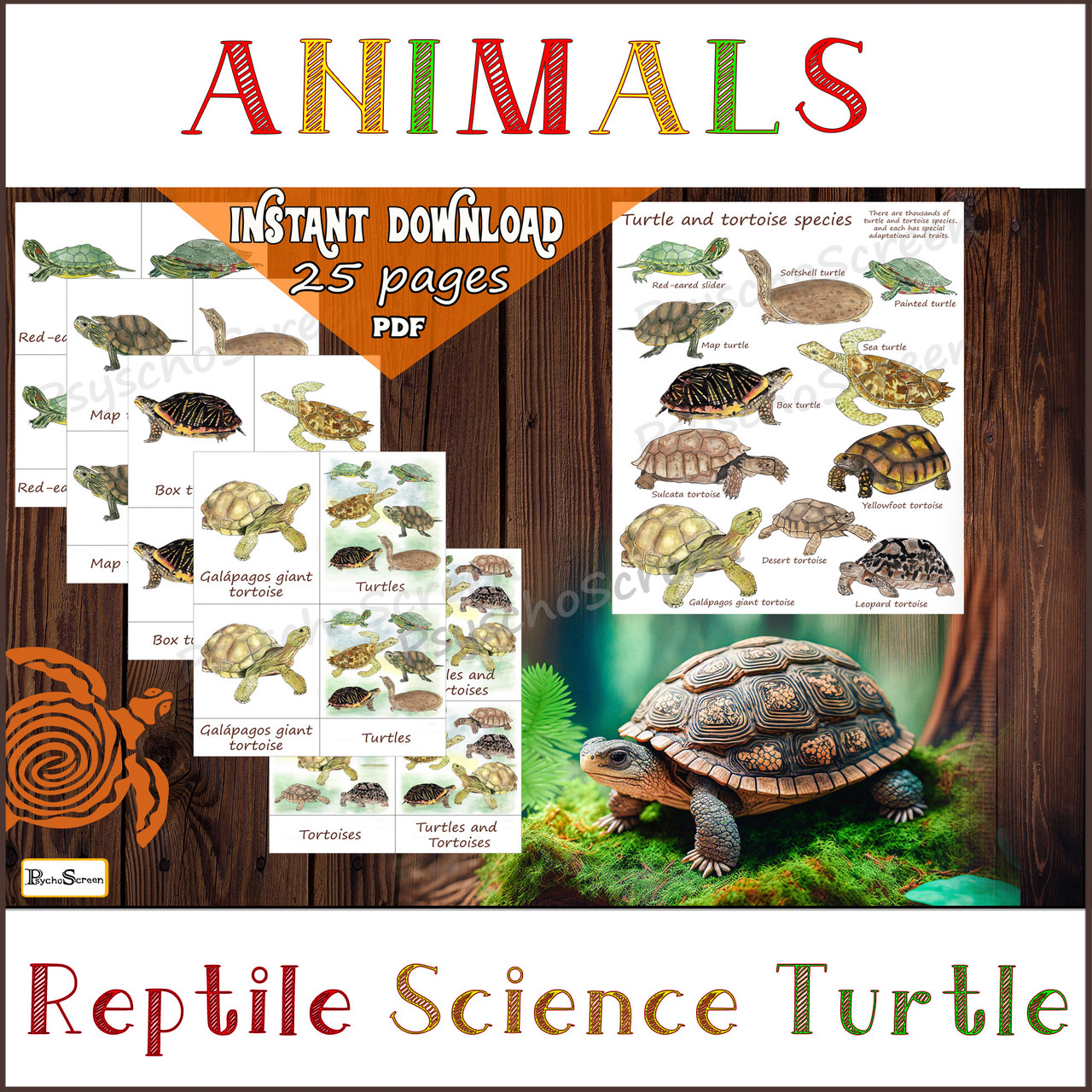 TURTLE and TORTOISE Unit study: Anatomy, Life cycle, Species, Facts, Puzzle