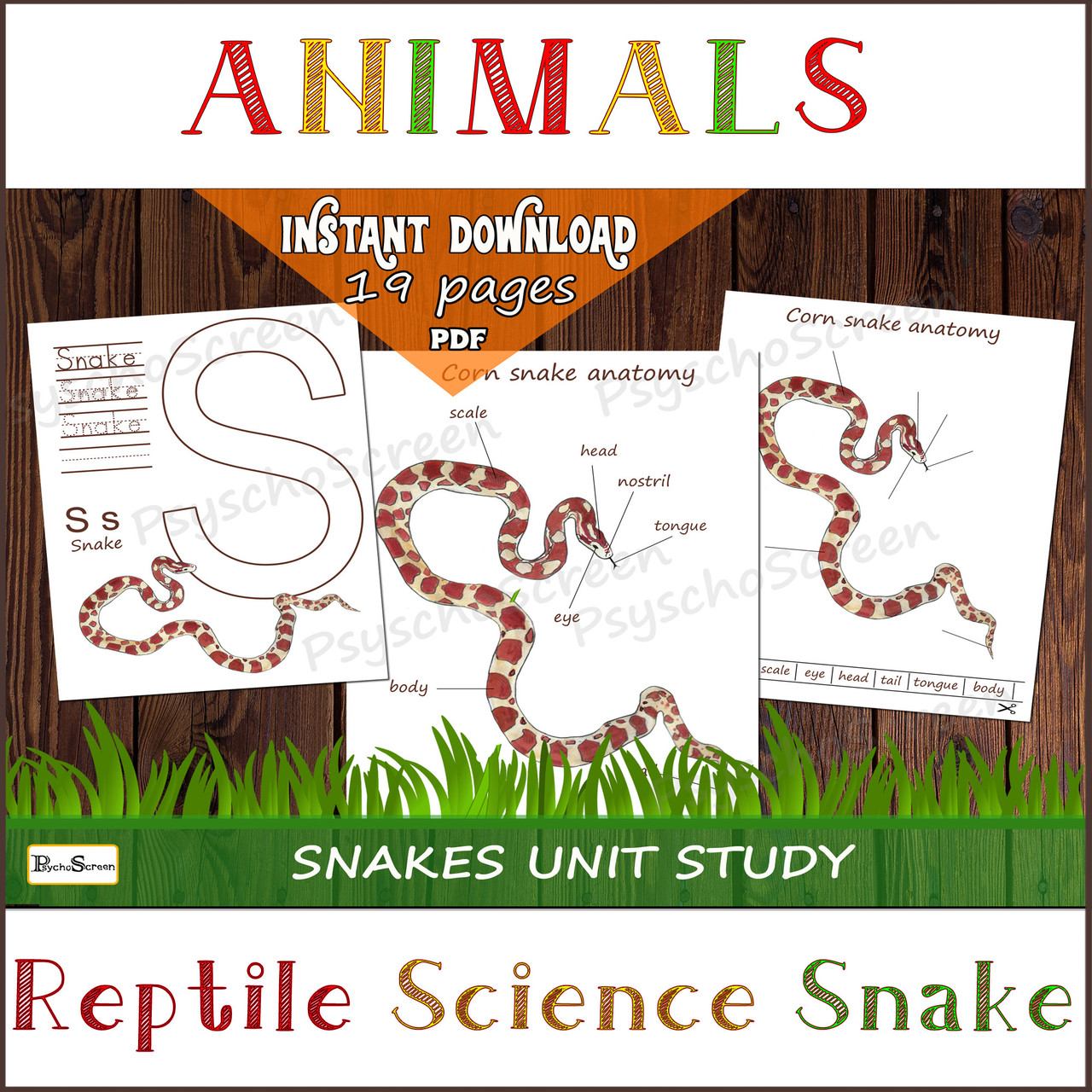 SNAKE Unit Study, Printable bundle with Anatomy, Diagram, Life cycle