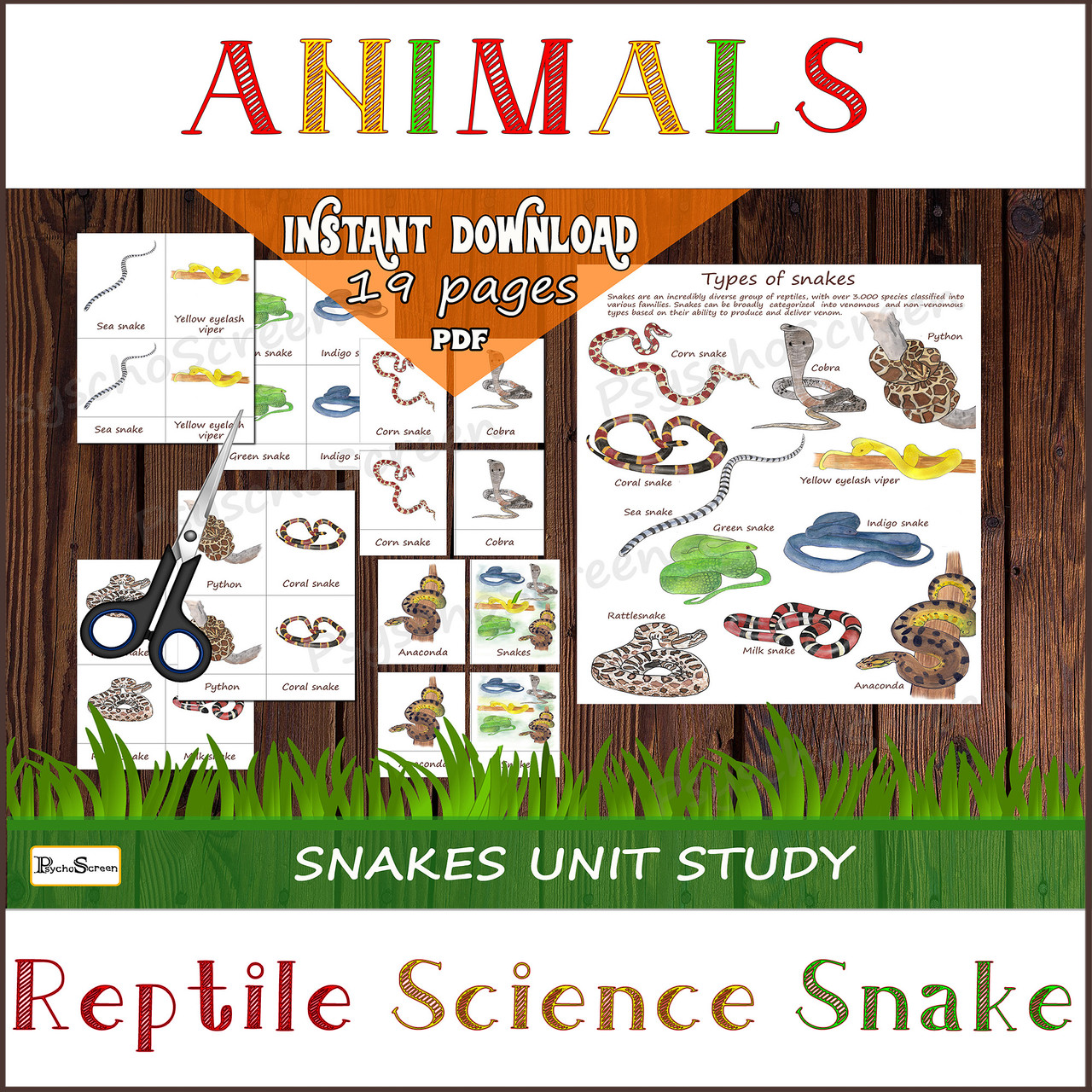 SNAKE Unit Study, Printable bundle with Anatomy, Diagram, Life cycle