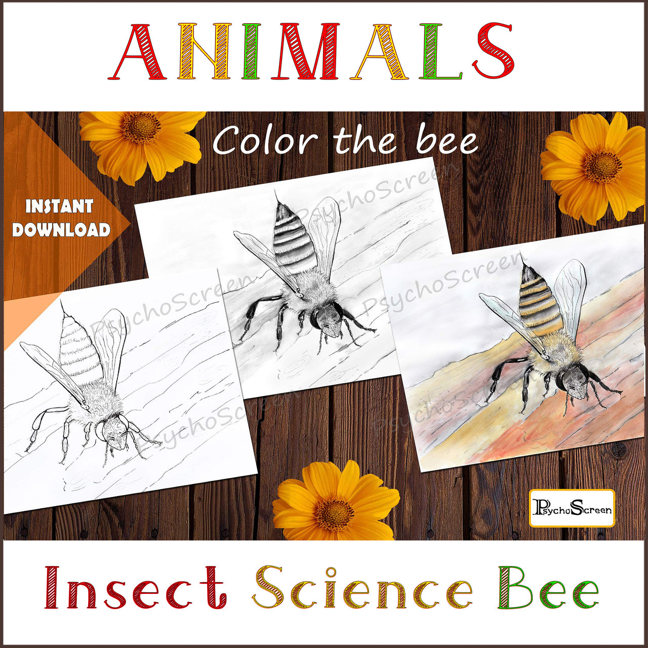 HONEY BEE Learning material, Printable set for coloring and learning ...