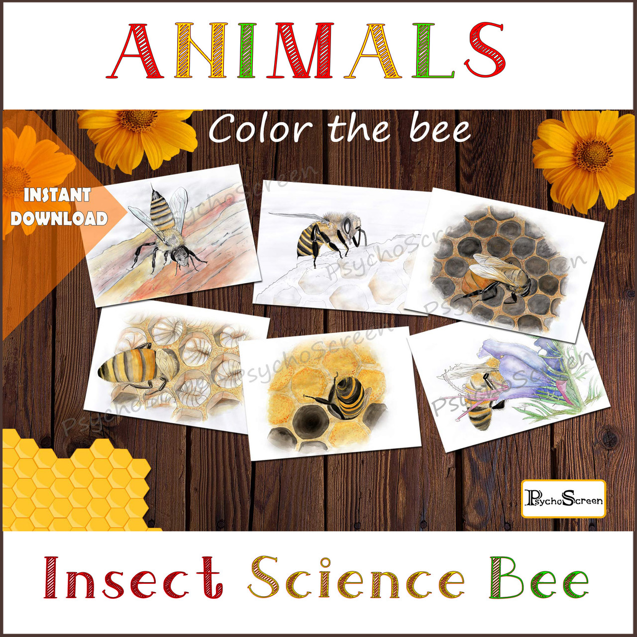 HONEY BEE Learning material, Printable set for coloring and learning ...