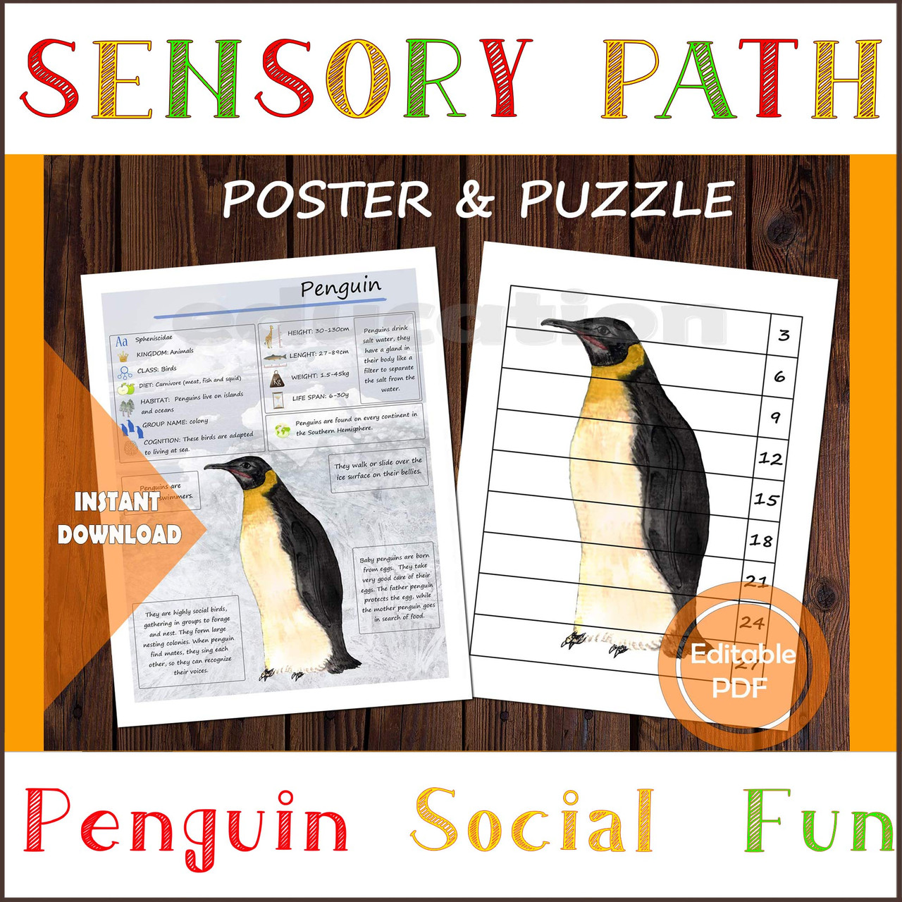 PENGUIN Unit Study, Feet, Steps, Anatomy and Poster, Diagram and ...