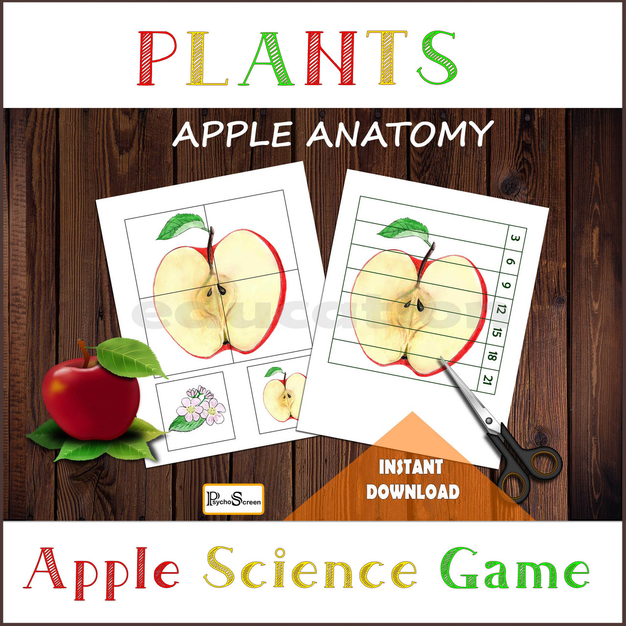 APPLE unit study, anatomy, life cycle and MOTH poster