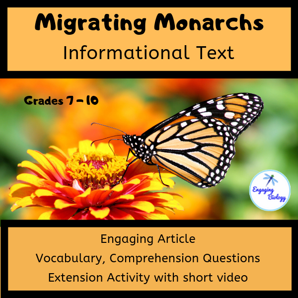 Migrating Monarchs Informational Text Activity - Amped Up Learning