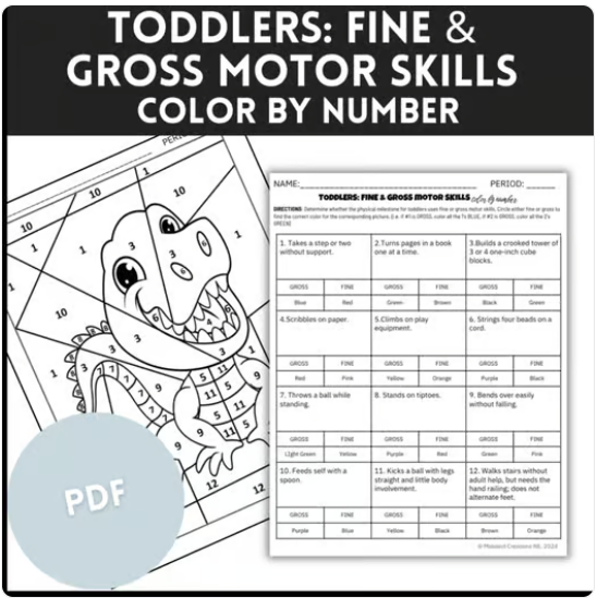 Fine & Gross Motor Skills Color by Number | Child Development Activity